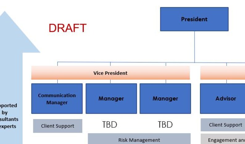 Organizational Model Template - Etsy