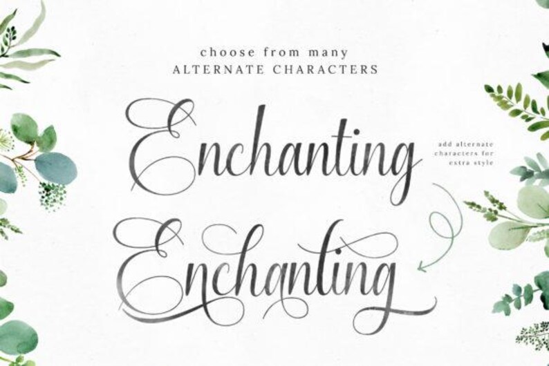 Enchanting Script Font: Elegant Calligraphy for Cricut, Procreate (OTF ...
