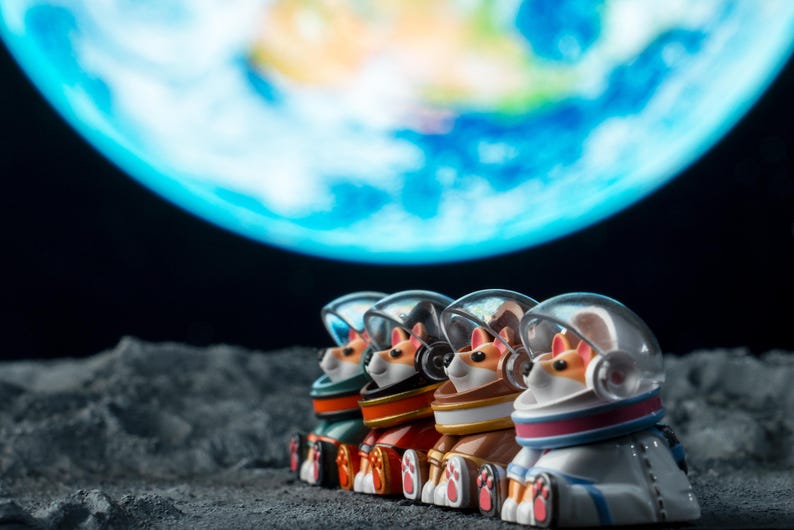 Astro Corgi - Artisan Keycap - Blind Box - Etsy