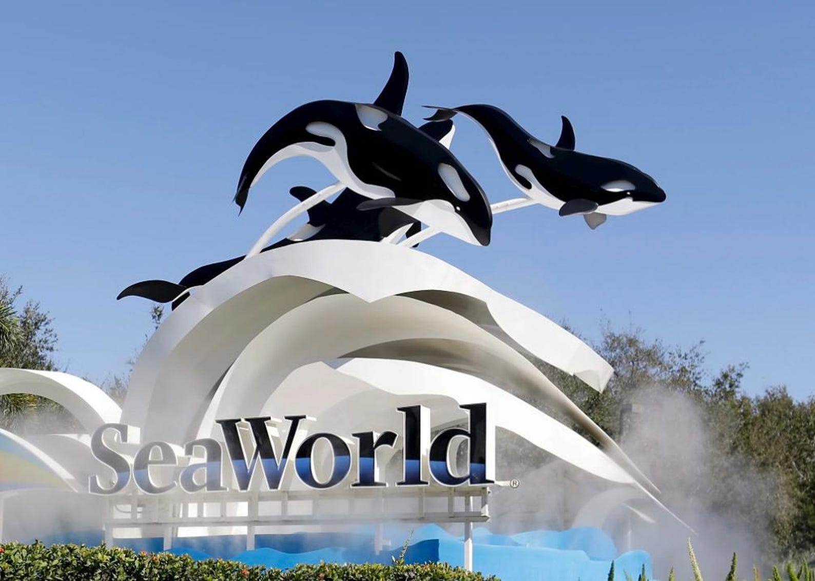 Seaworld Ticket (1) Admission - Etsy