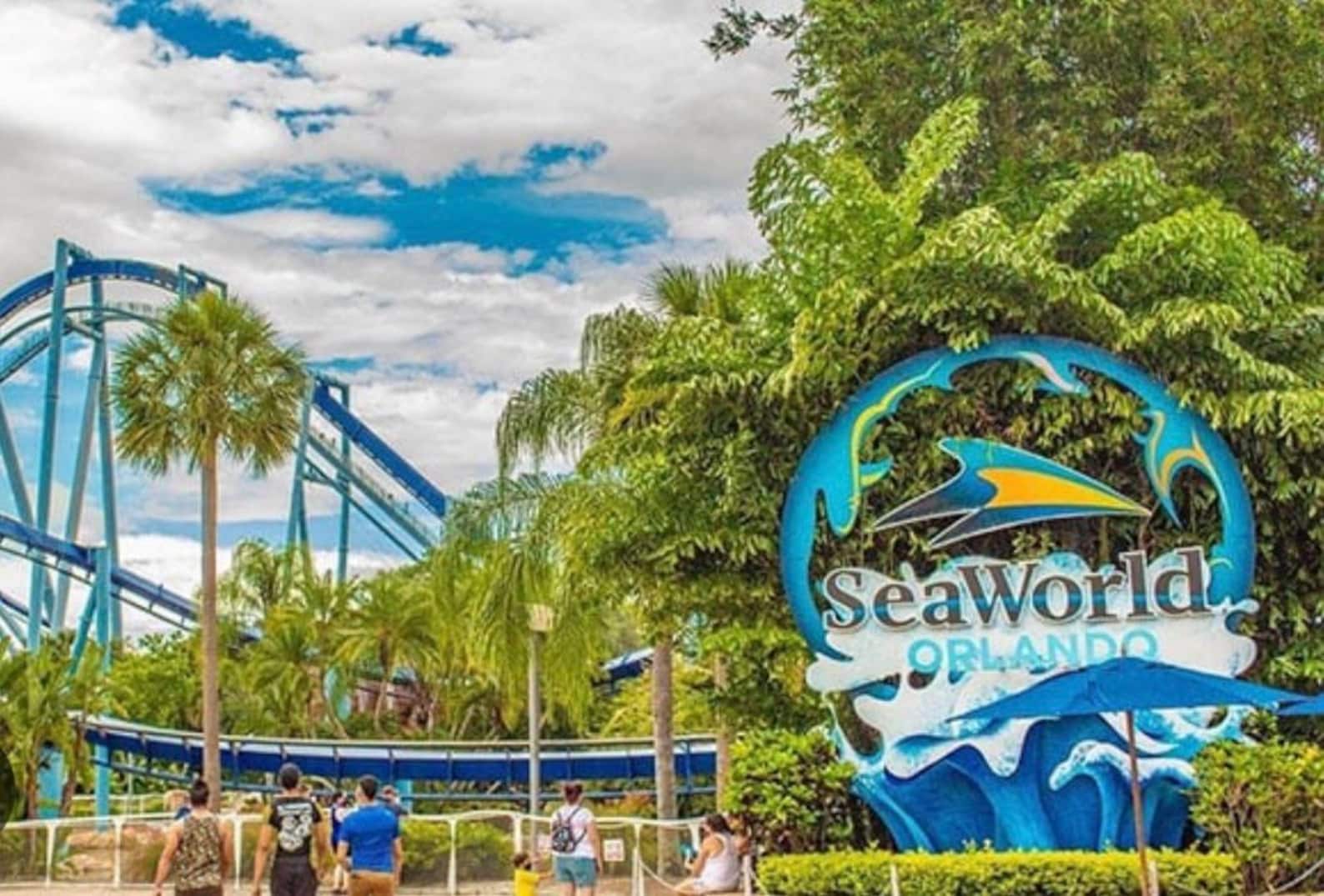 Seaworld Ticket (1) Admission - Etsy