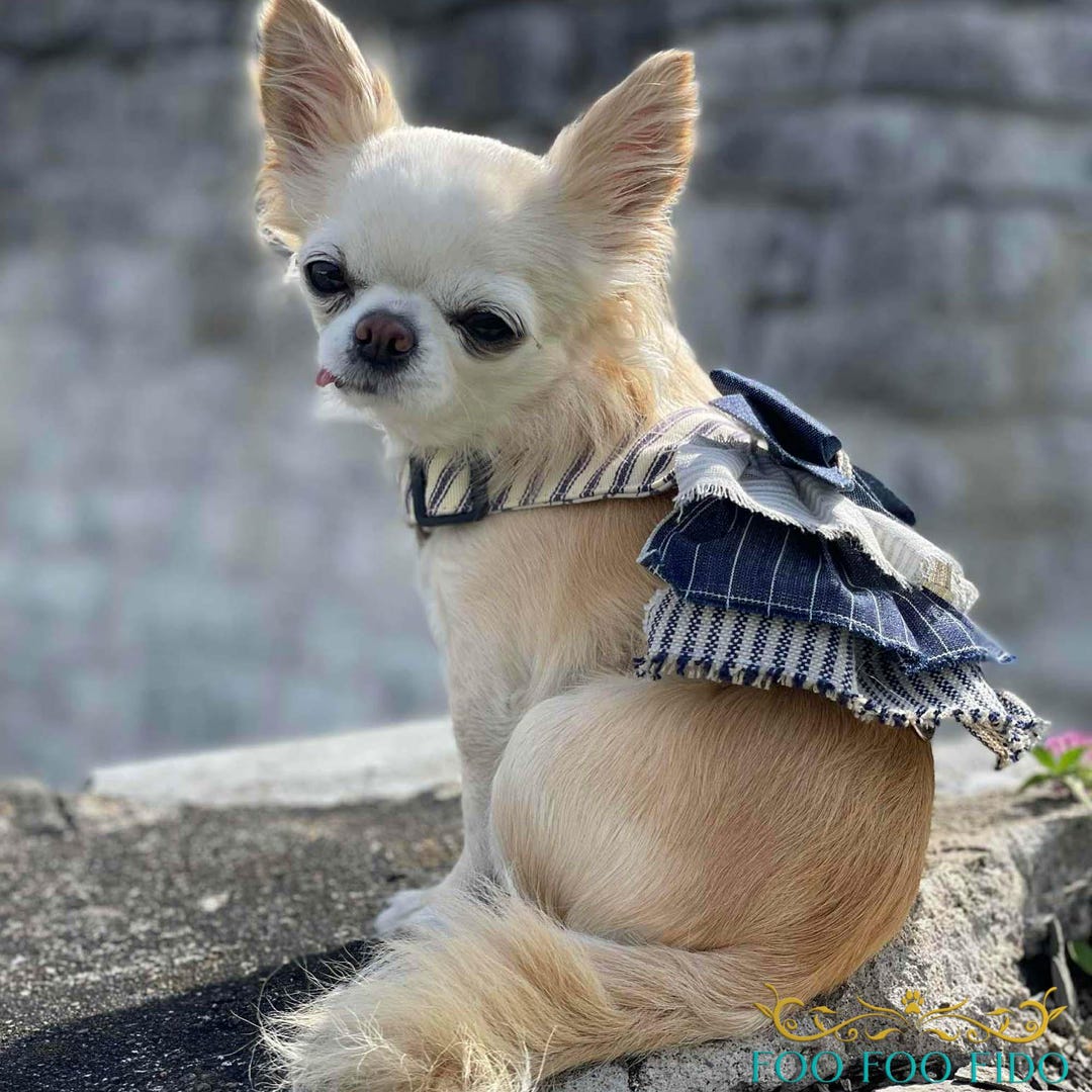 Ruffle Dog Harness Dress: Blue & Ivory Cotton Vest, Choke-Free - Etsy ...