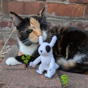Slugcat Crochet Pattern | Rain World Inspired Amigurumi (PDF Pattern ...