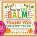 Fall Lip Balm Gift Tag You're the Balm Thank You Printable Editable ...