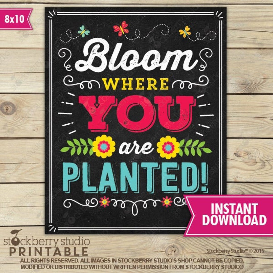 Bloom Where You Are Planted - Classroom Decor - School Classroom Sign ...