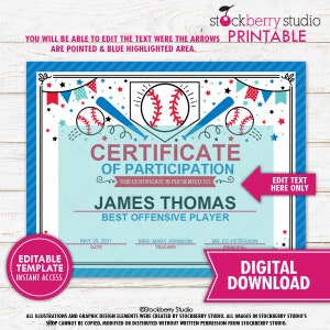 Baseball Award Certificate Printable End of Season Team Awards T-ball ...