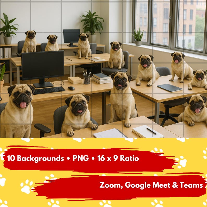 Funny Pug Zoom Backgrounds | Zoom Backgrounds | PNG 16:9 | Compatible ...
