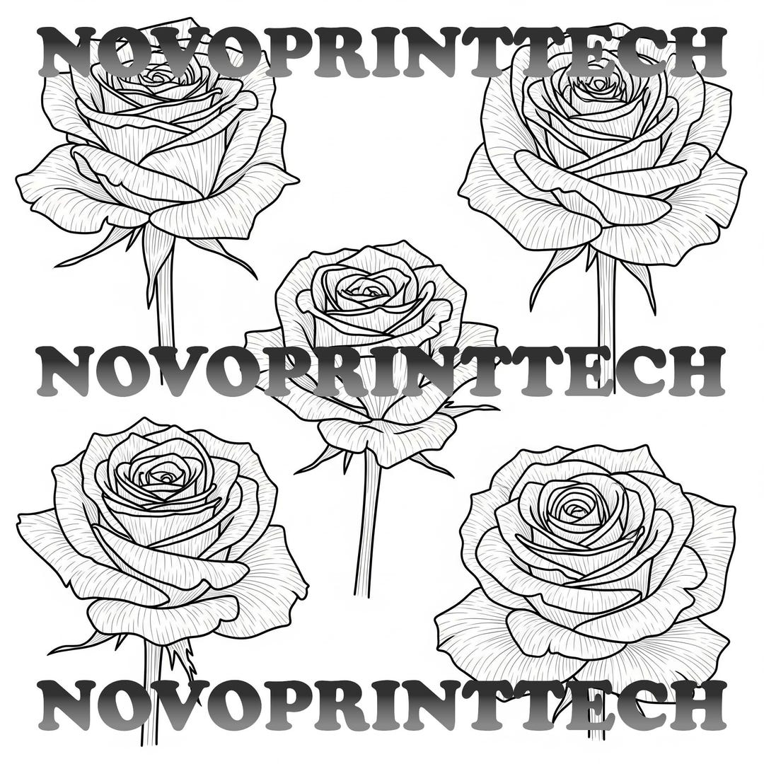 Rose Pack #1 SVG/DXF/PNG - Etsy