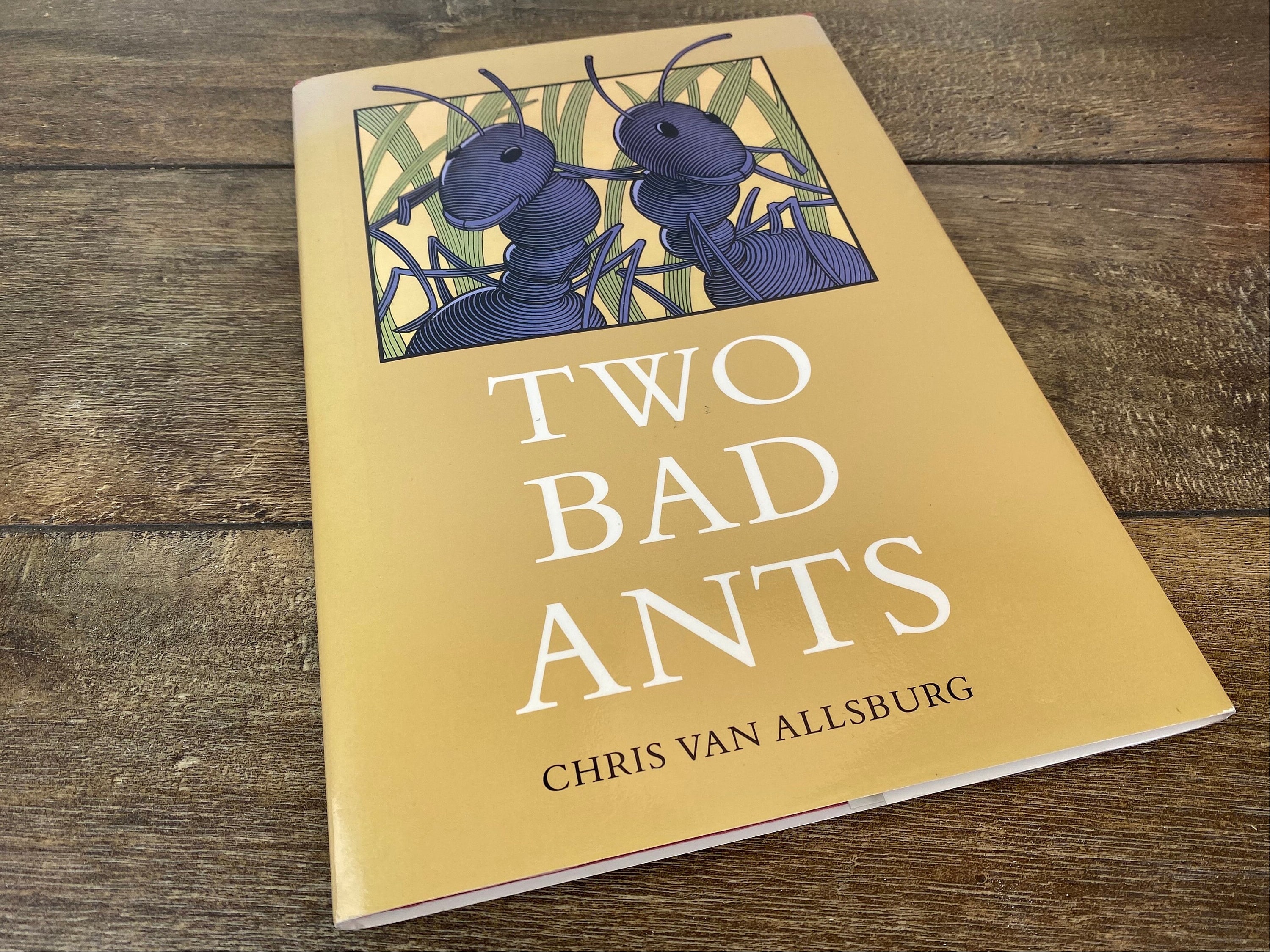 Chris Van Allsburg Two Bad Ants