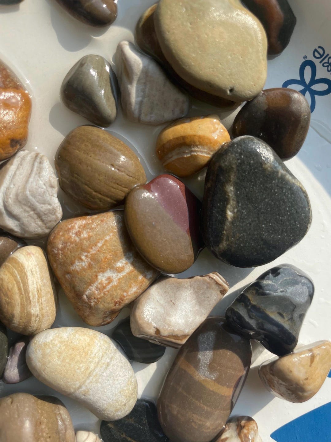 STRIPED PEBBLE MIX - 8oz of Lake Michigan Stones With Unique Lines ...