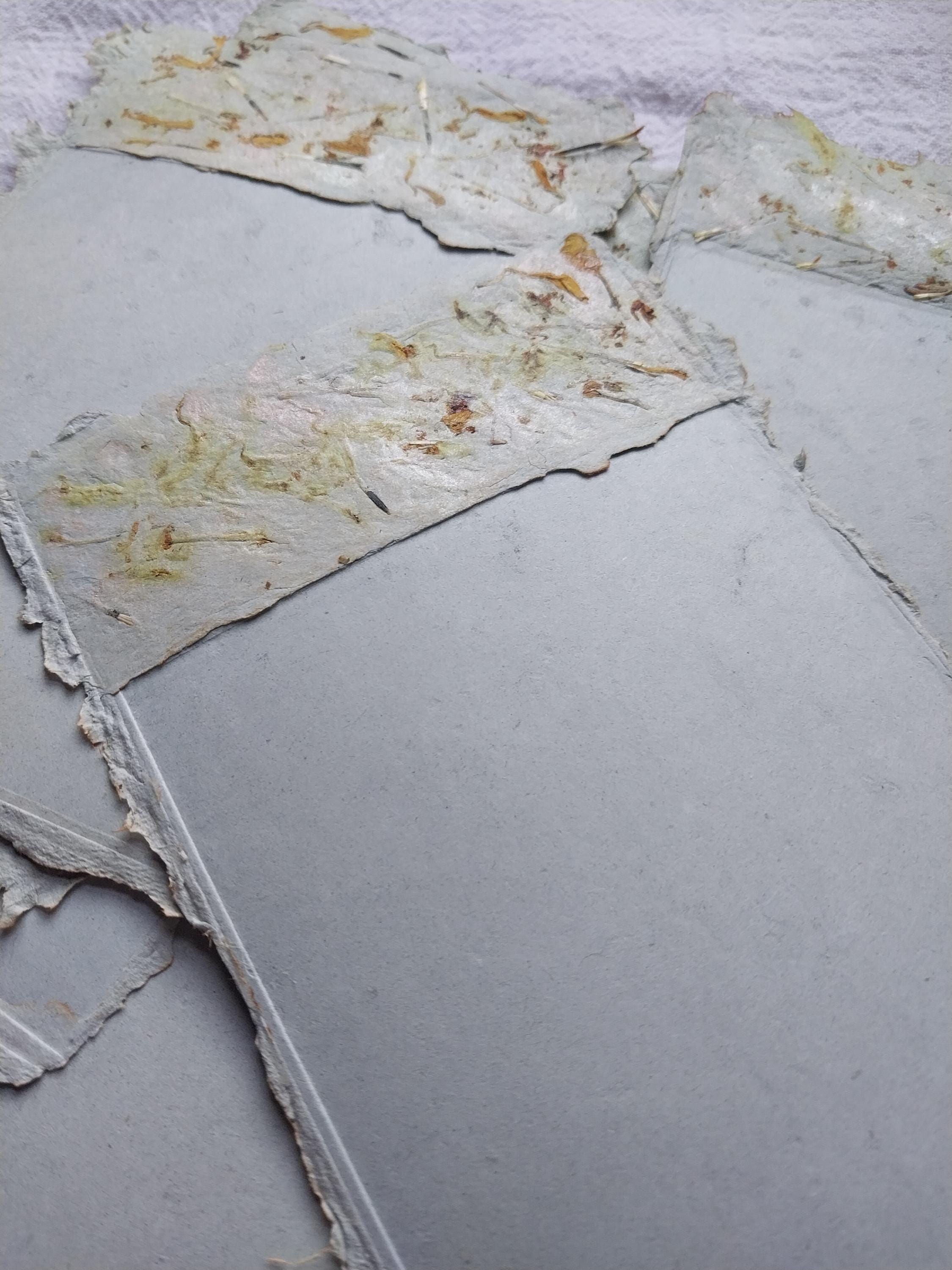 Handmade Seeded Plantable Paper: Pastel Aqua, 4x6 Deckled Edge (12 Pack ...