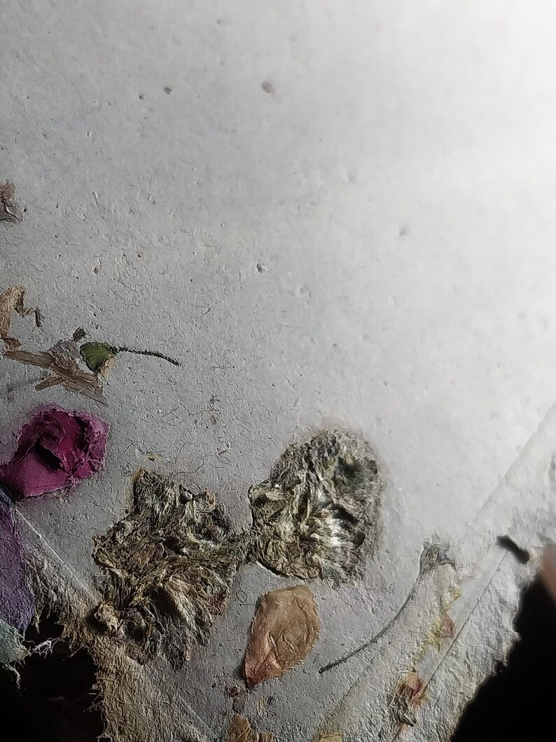 Handmade Flower Petal Paper Bundle: 4x6 Inch, Junk Journaling, 12 Pack ...