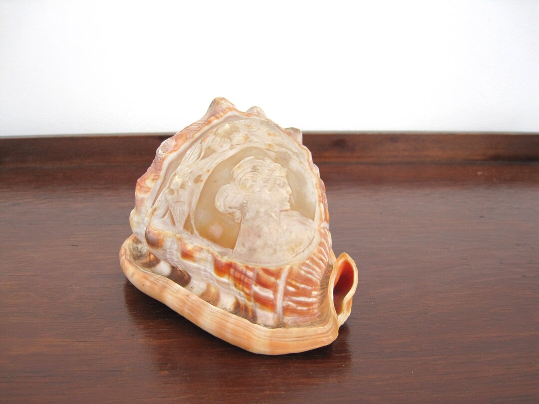 Vintage Conch Shell Hand-engraved Woman Profile Cameo Flowers Italy ...