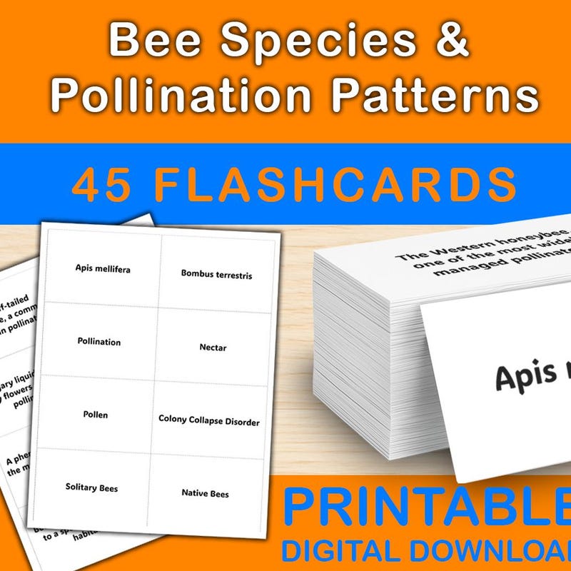 Pollinator Education - Etsy