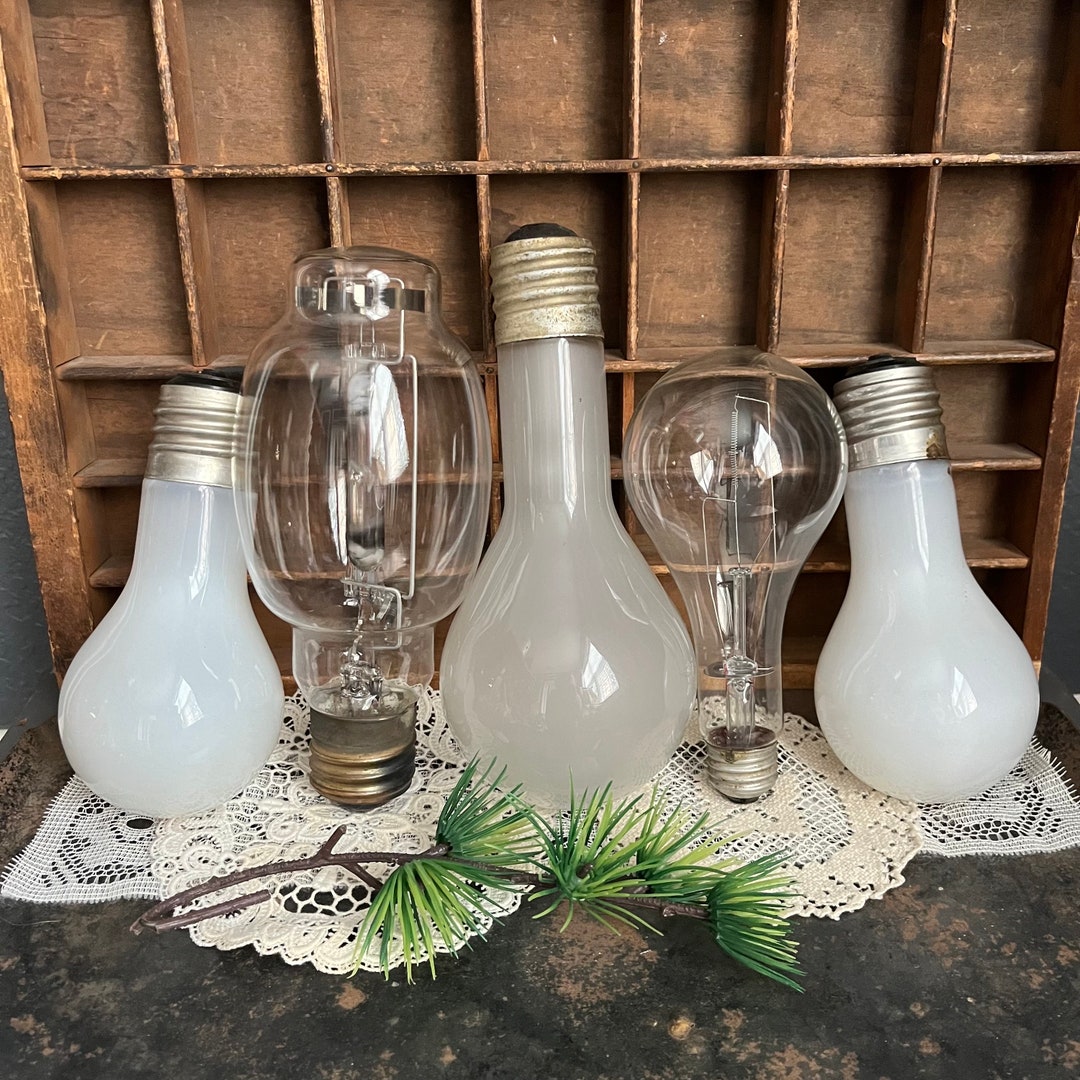 Collection of 5 Large Vintage Light Bulbs Farm Incandescent Lamp Gym ...