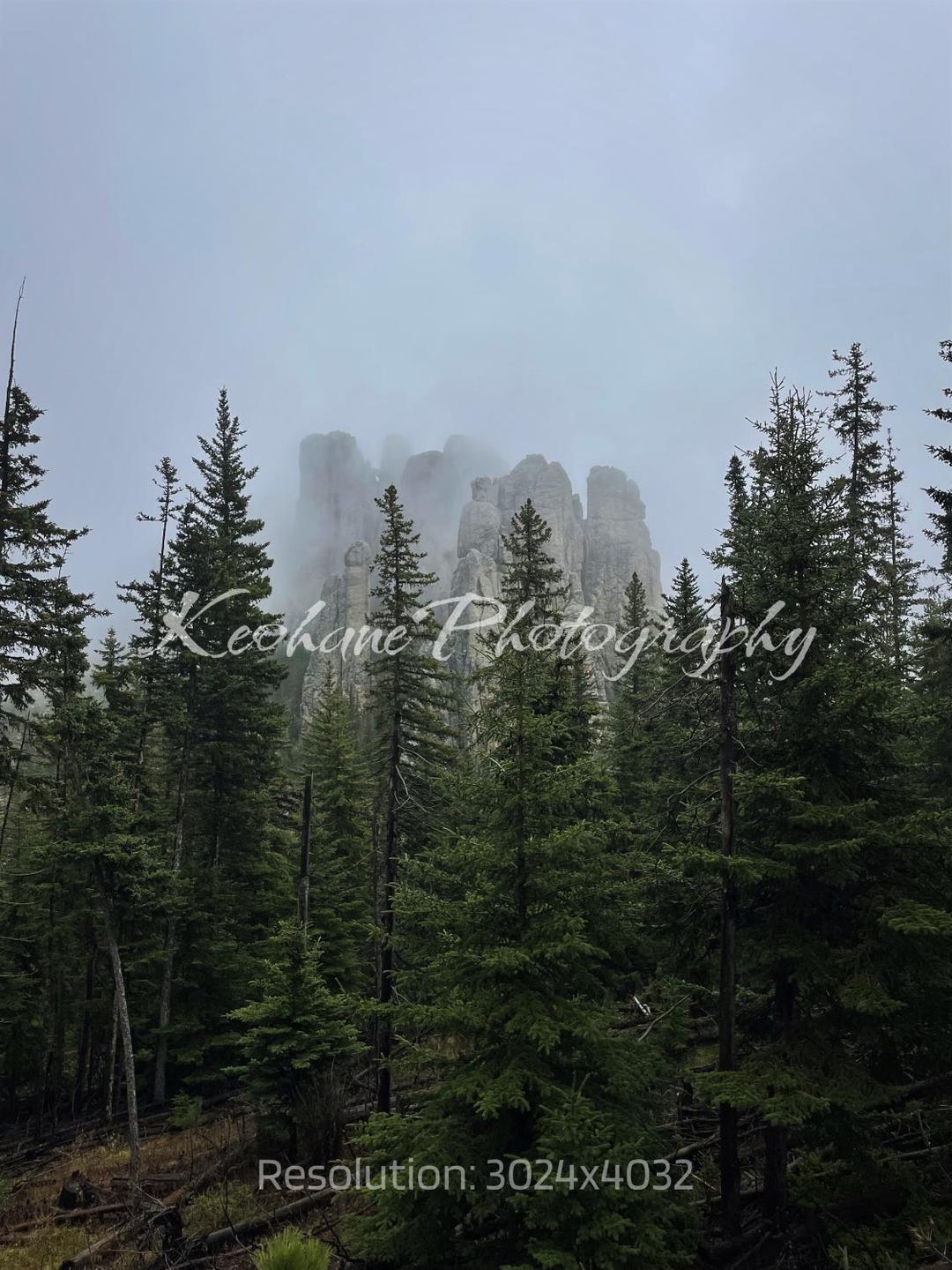 Misty Rock Spires in Black Hills South Dakota — Nature Landscape Photo ...
