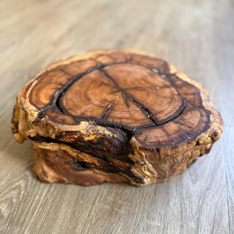 Reclaimed Burl Wood Display Stand, Natural Wabi Sabi Riser, Organic ...