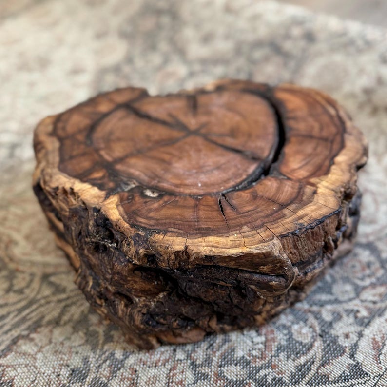 Reclaimed Burl Wood Display Stand, Natural Wabi Sabi Riser, Organic ...