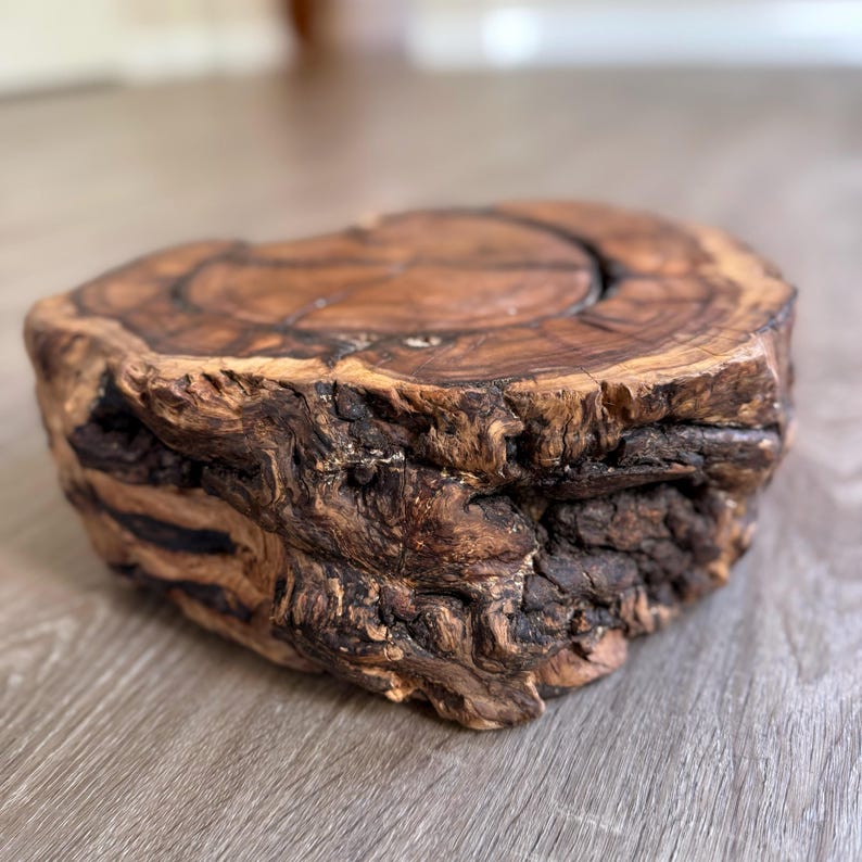 Reclaimed Burl Wood Display Stand, Natural Wabi Sabi Riser, Organic ...