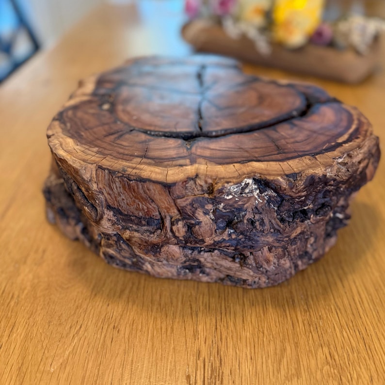 Reclaimed Burl Wood Display Stand, Natural Wabi Sabi Riser, Organic ...
