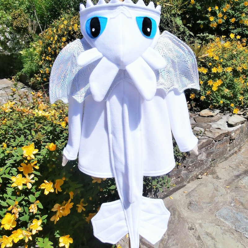 Light Fury Costume - Etsy