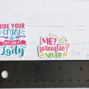 Sarcastic Sticker Set (15 Pack), Snarky Stickers, Funny Gift, Salty ...