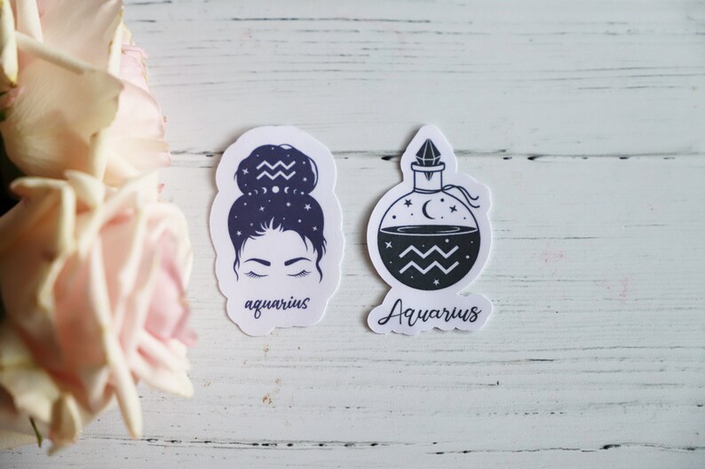 Zodiac Girl Sticker Set choose Your Sign 2 Pack Stickers - Etsy