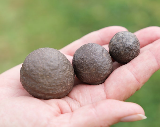 Moqui Marble Shaman Stone (choose Your Size), Mochi Marbles ...