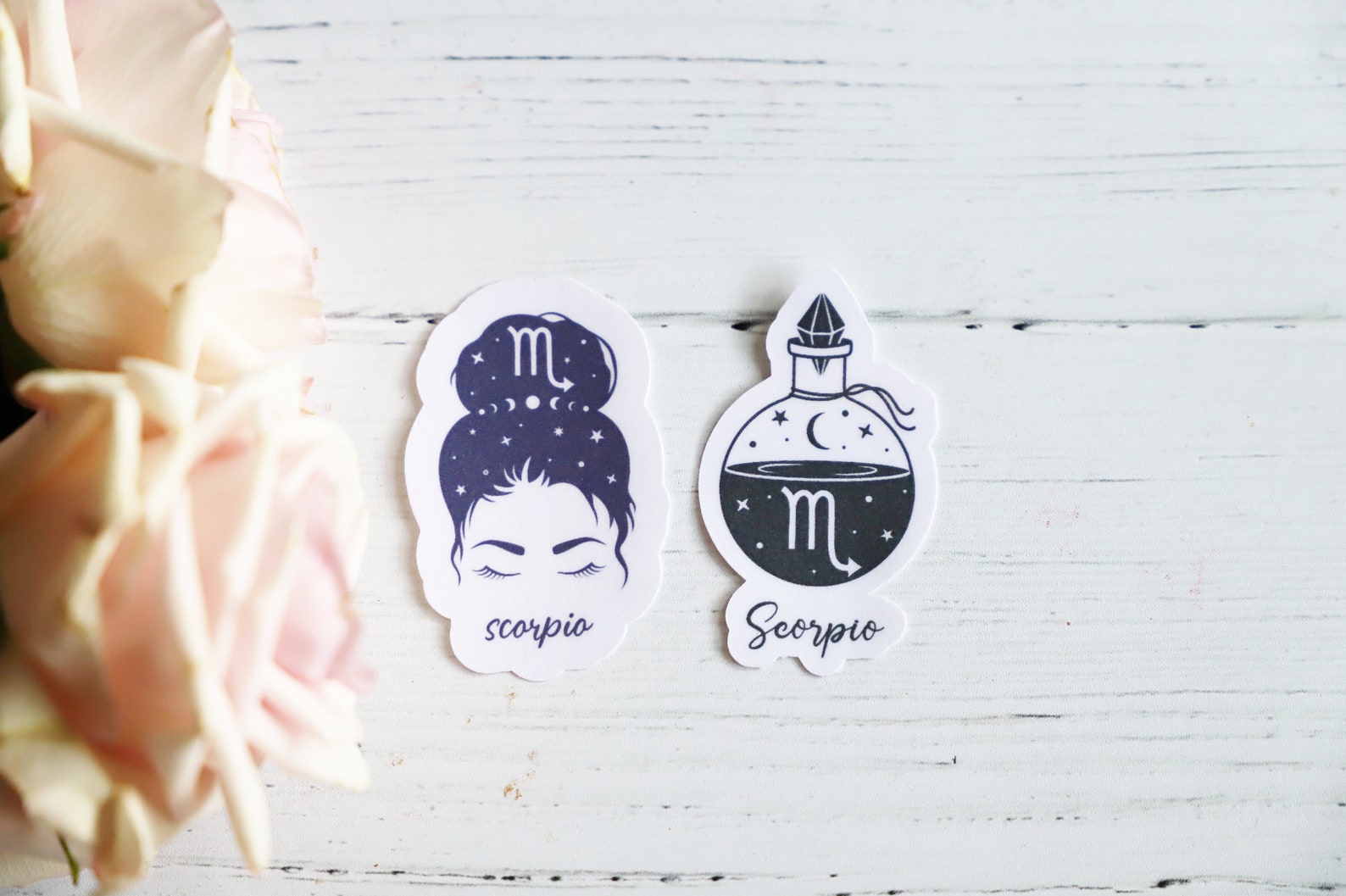Zodiac Girl Sticker Set choose Your Sign 2 Pack Stickers - Etsy