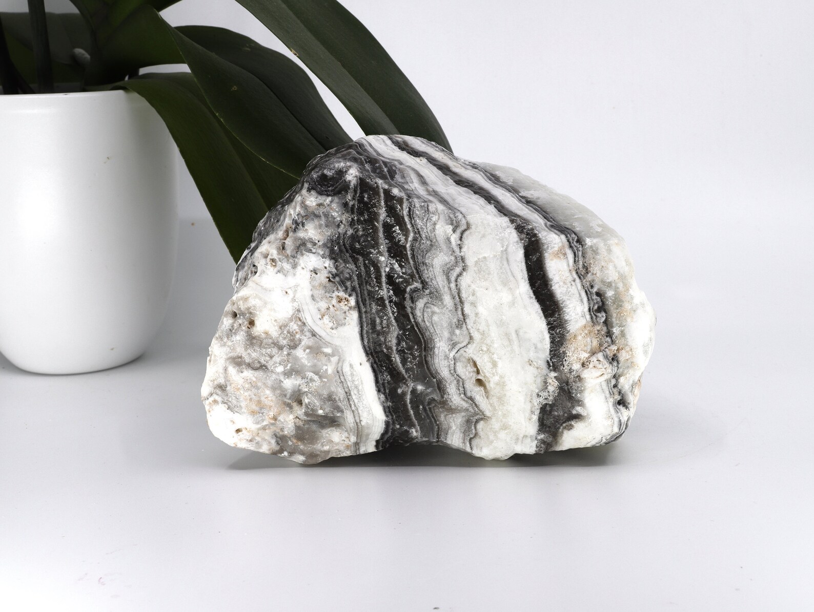 Phantom Banded Calcite Zebra Calcite Home Decor Black - Etsy