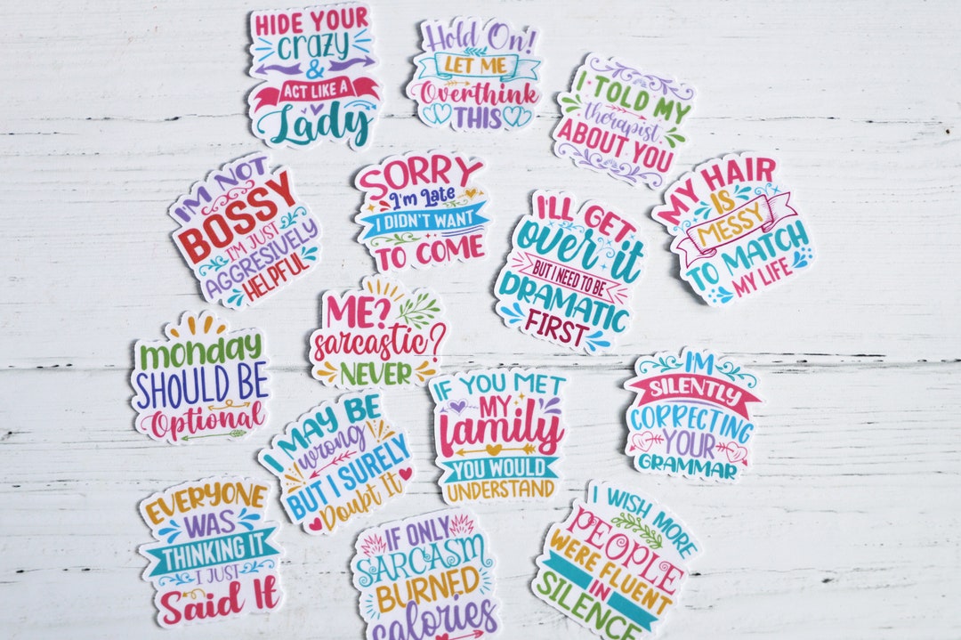 Sarcastic Sticker Set (15 Pack), Snarky Stickers, Funny Gift, Salty ...