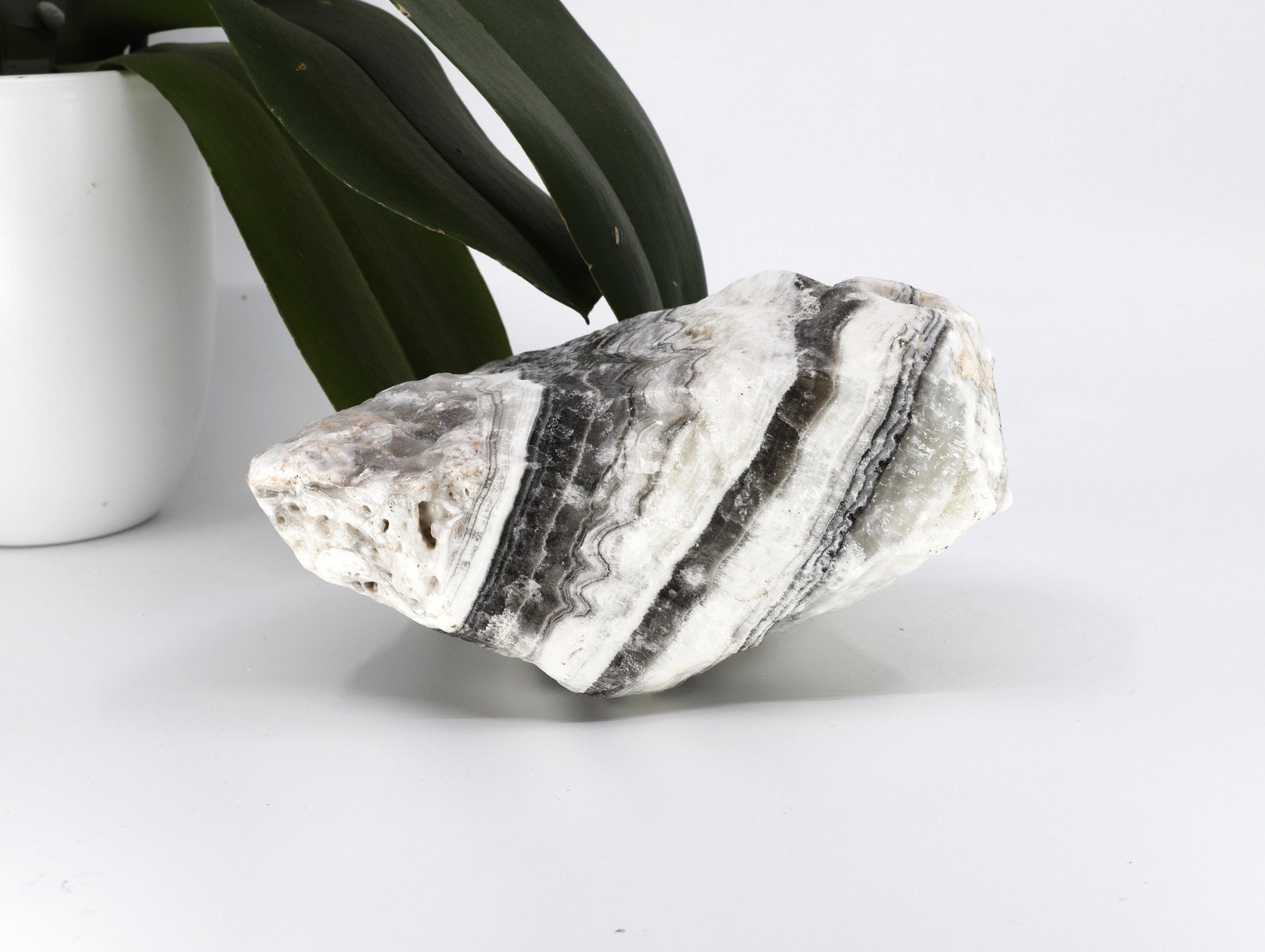 Phantom Banded Calcite Zebra Calcite Home Decor Black - Etsy