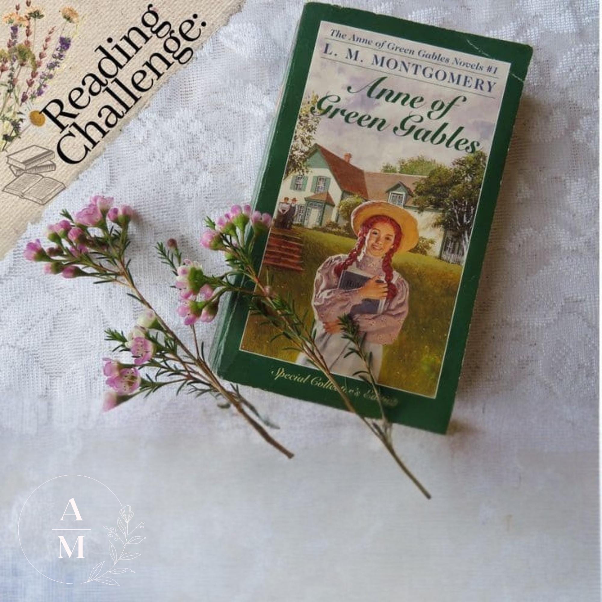 Anne of Green Gables: L.M. Montgomery's Classic Vintage Novel - Etsy