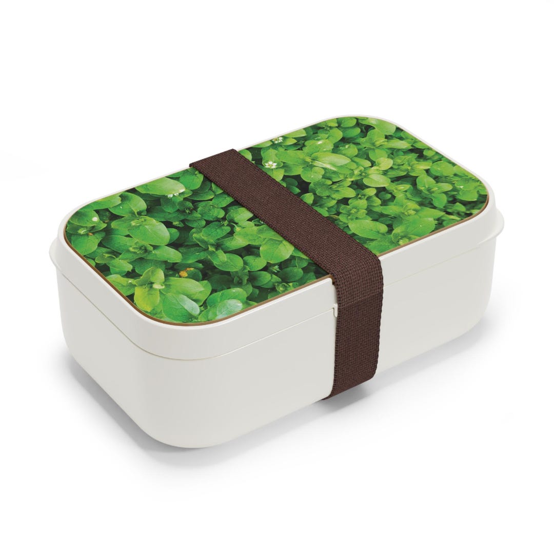 Stellaria Bento Lunch Box: Wild Herb Pattern Wooden Lid, Two Dividers ...
