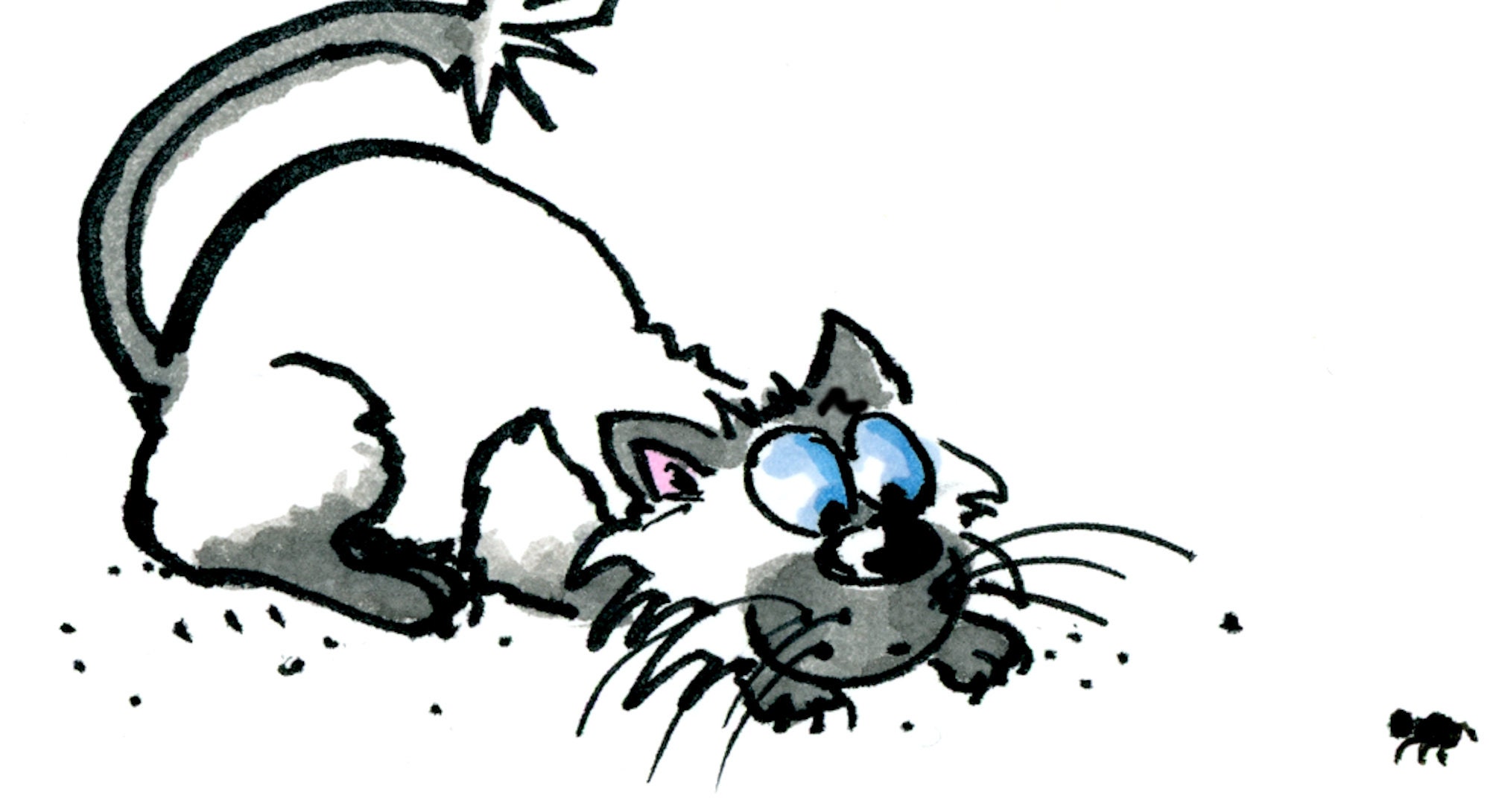 Funny Cat Notes - Cat Note Cards - Siamese Cat Art - Etsy