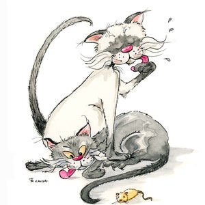 Two Cats Funny Art Illustration Print. Cute Siamese and Black Cat ...