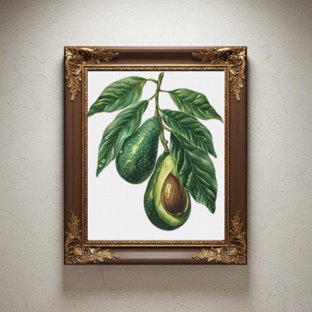 Avocado. Cross Stitch Pattern.pdf.xsd. - Etsy