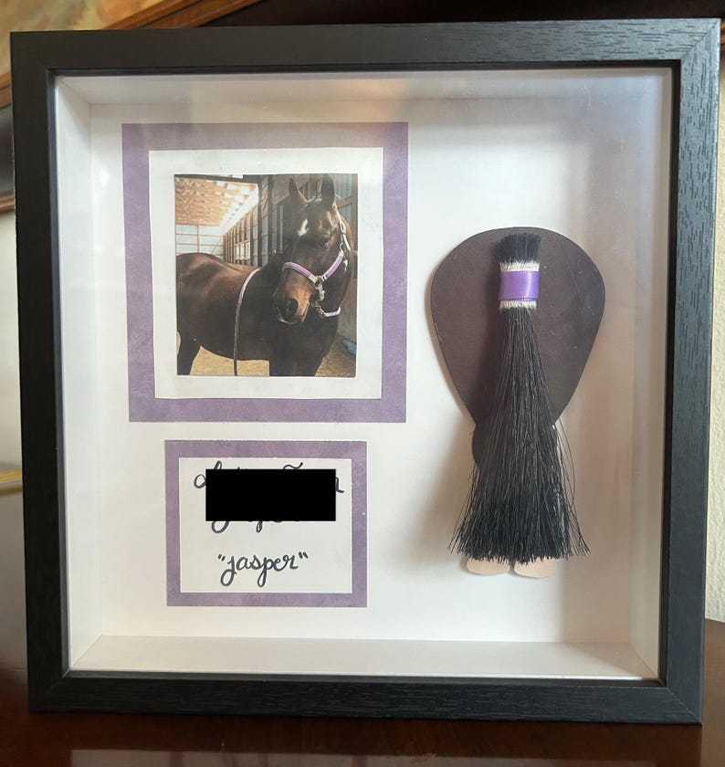 Custom Horse Tail Framed Portrait. Personalized Horse Tail Shadow Box ...