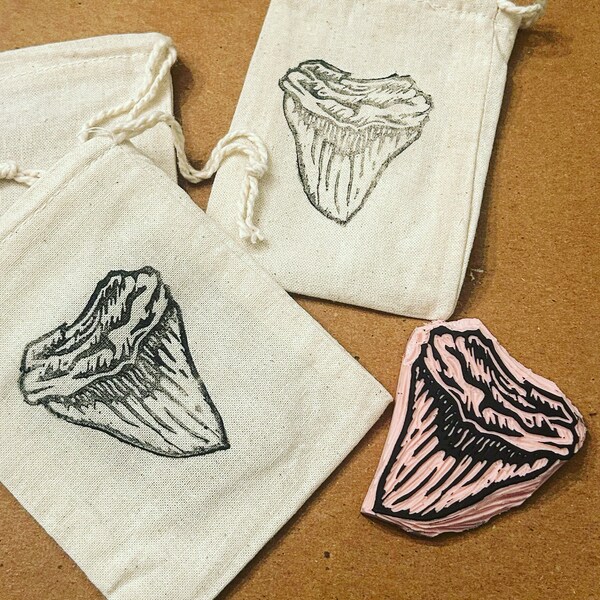 Shark Tooth Display - Etsy