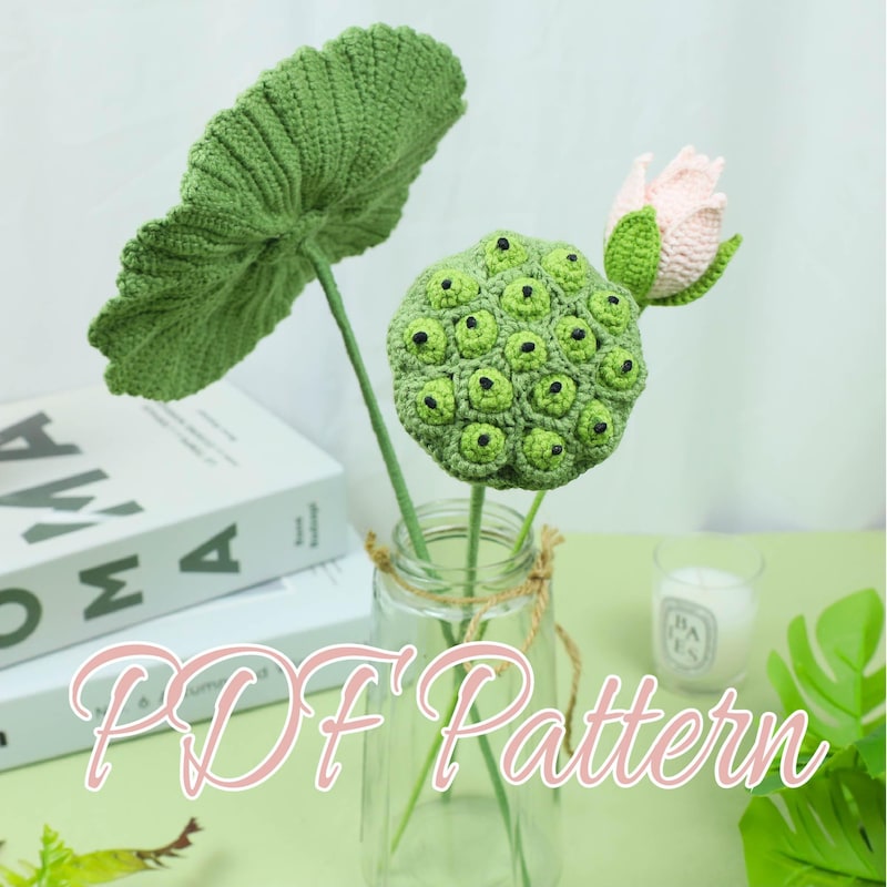Lotus Pods - Etsy