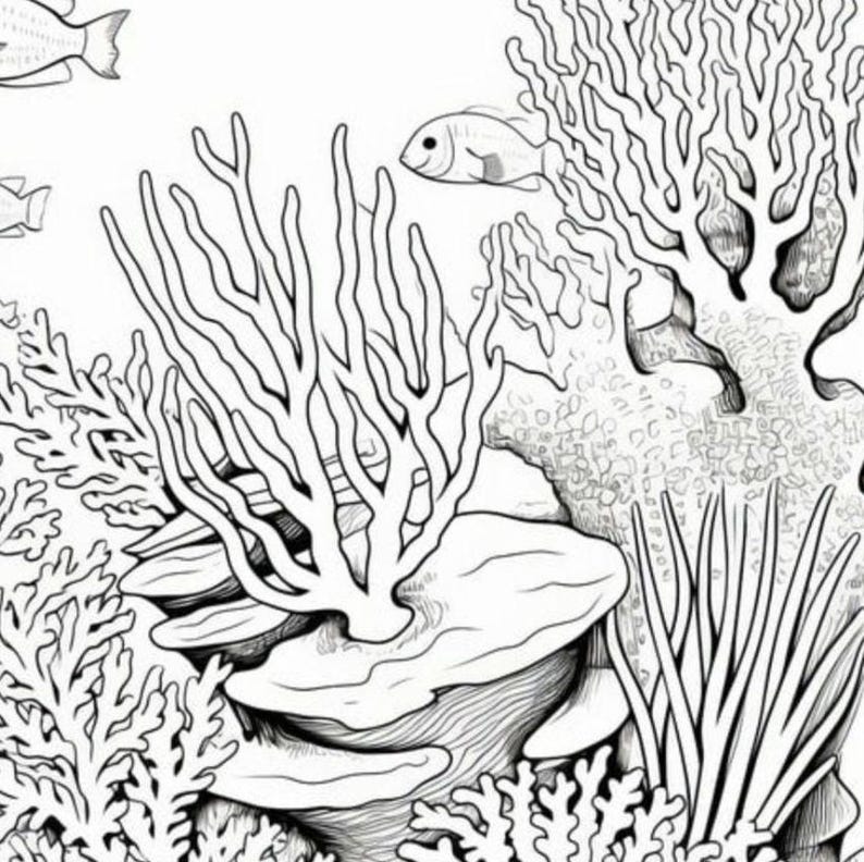 Coral Reef Coloring Book – Canva Editable Template | Digital Download ...