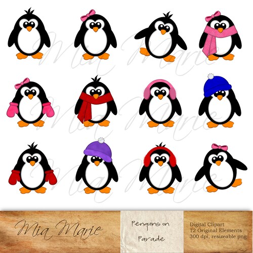 Penguin Digital Clip Art Set Instant Download - Etsy
