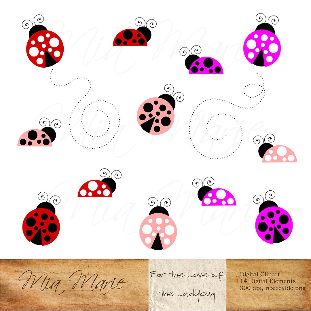 INSTANT DOWNLOAD Digital Clip Art Ladybug Clipart Ladybug - Etsy