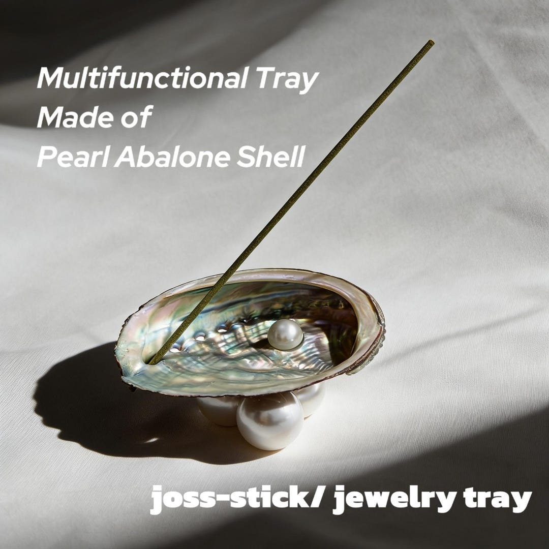 The Pearl Abalone Shell Jewelry Holder - Etsy