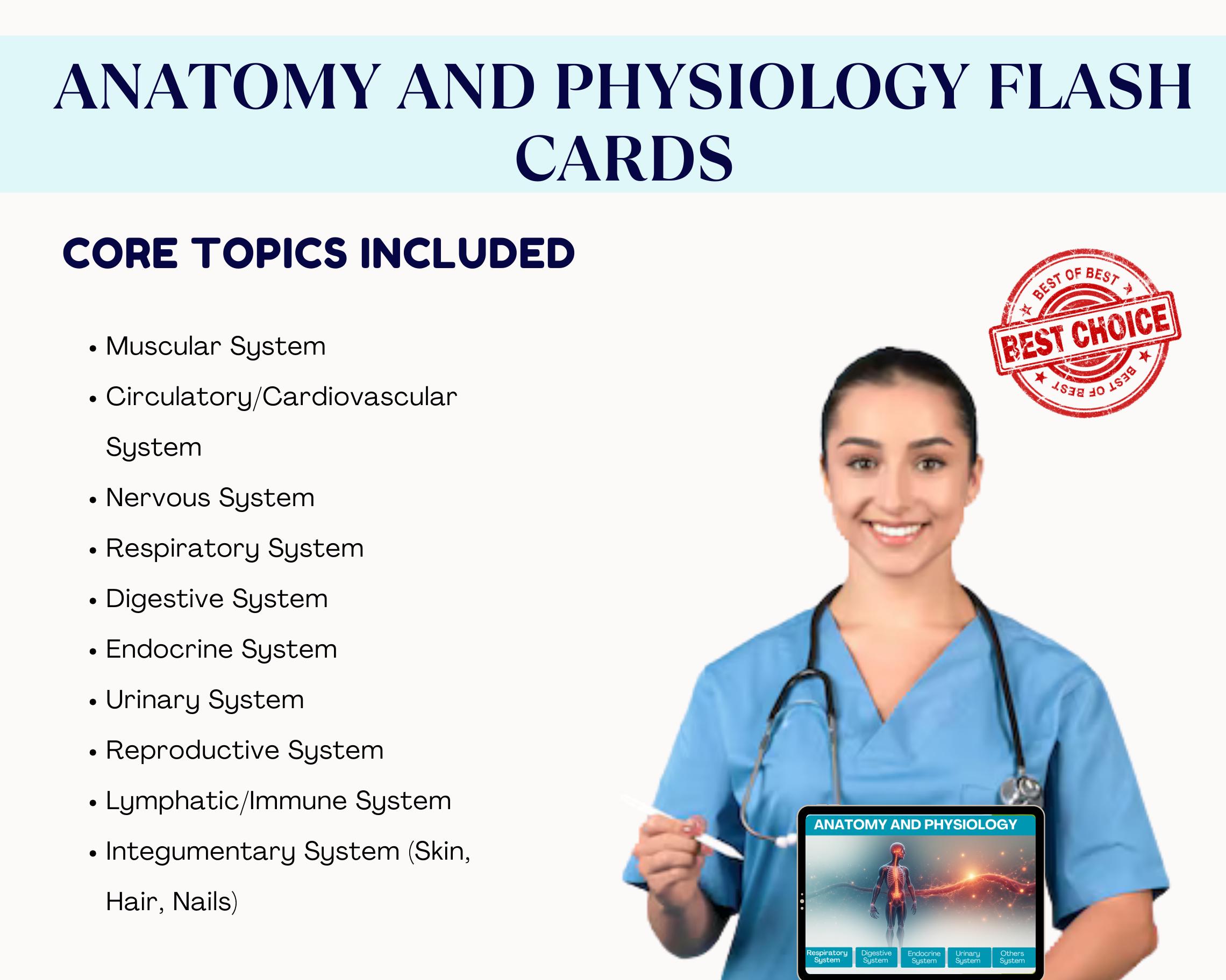 Anatomy & Physiology Flashcards Bundle | A and P Notes for Nursing ...