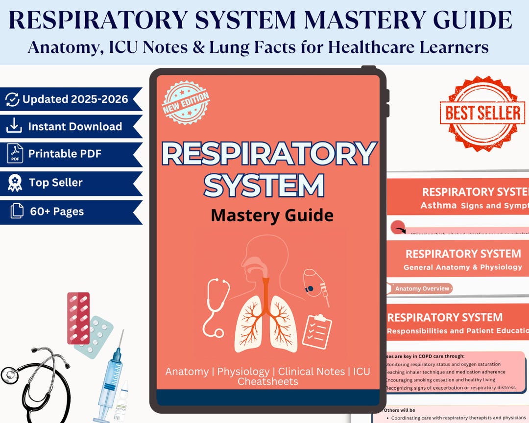 Respiratory System Study Guide: Anatomy, Physiology, ICU Notes (PDF ...