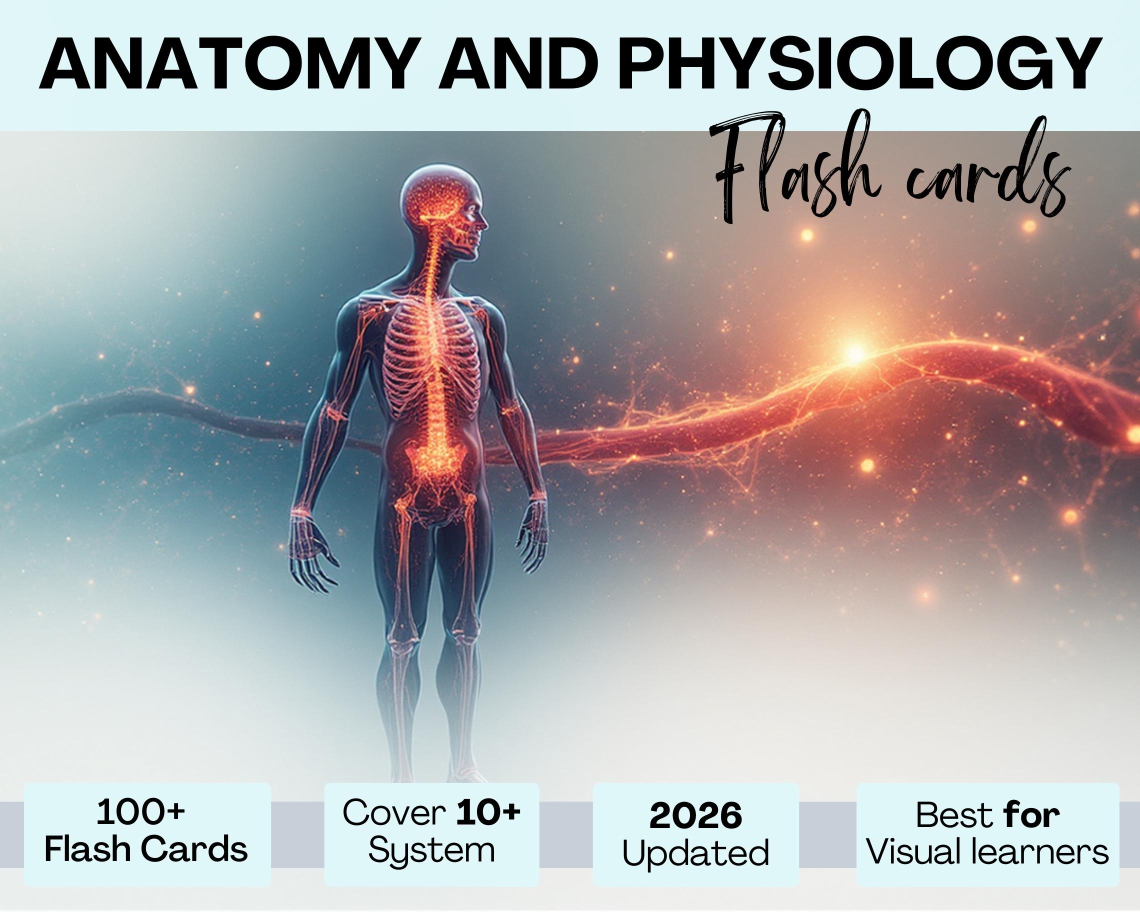 Anatomy & Physiology Flashcards Bundle | A and P Notes for Nursing ...