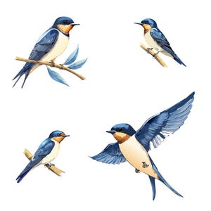 Swallow Bird Clipart: Folk Art Watercolor Illustrations (SVG, PNG, JPG ...