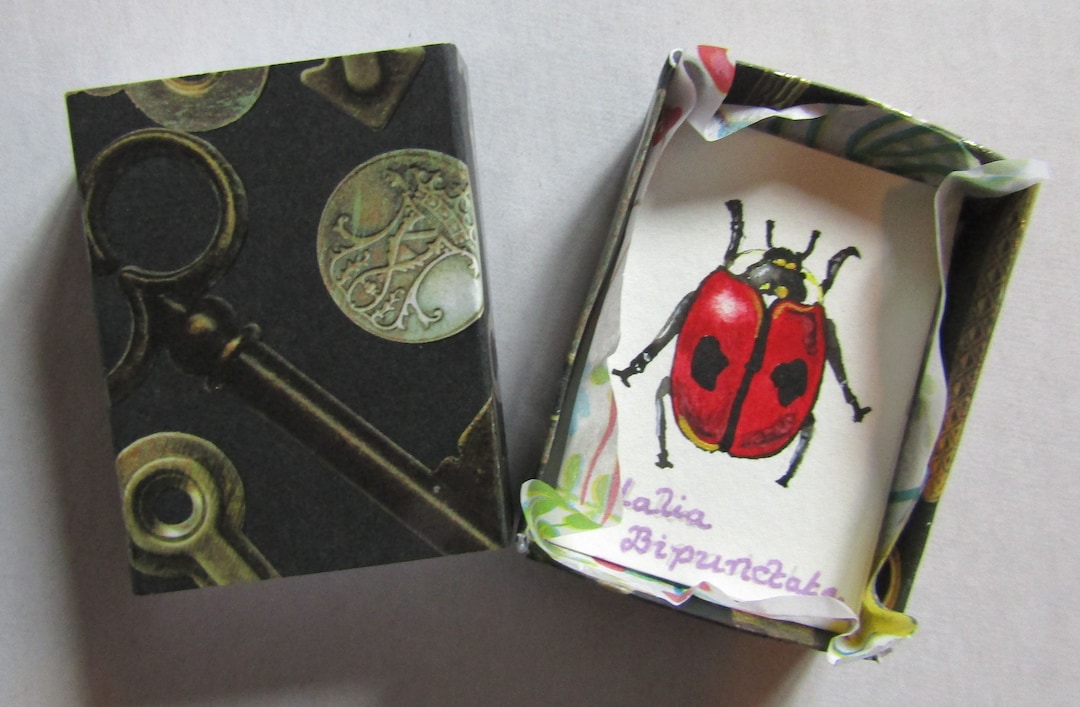 Bug in a Box - Etsy