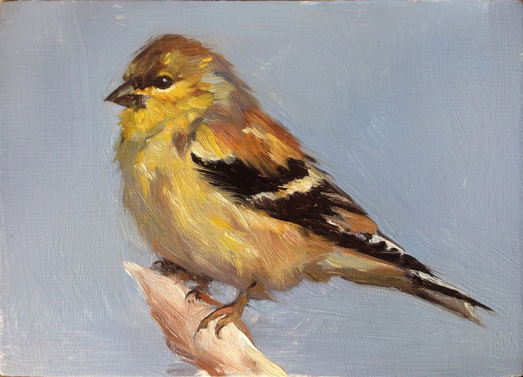 Goldfinch - Open Edition Print of Original Oil Painting - Etsy